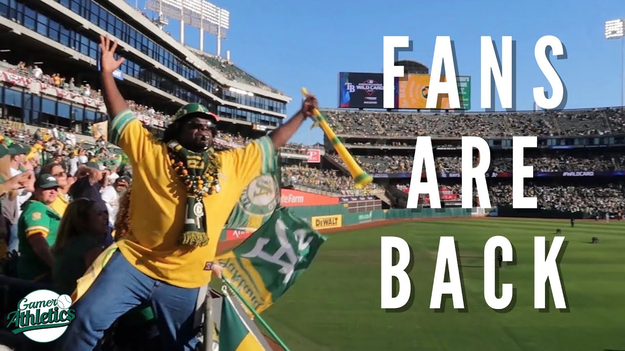 The Return of Fans - YouTube