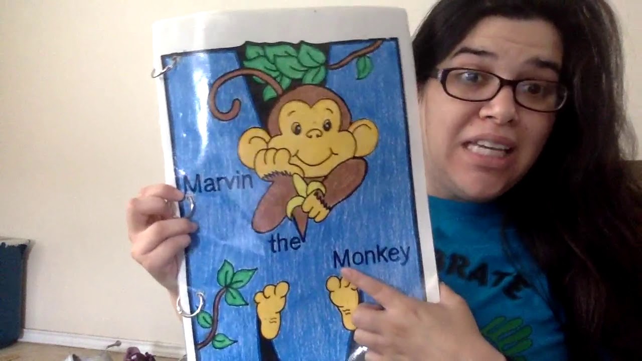 Marvin the Monkey - YouTube