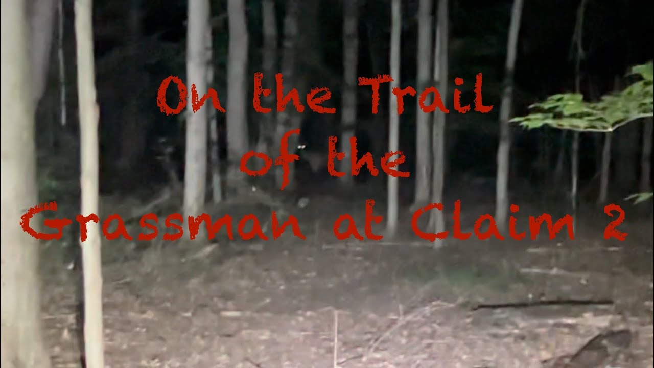 The Grassman Investigation: Claim 2 - YouTube