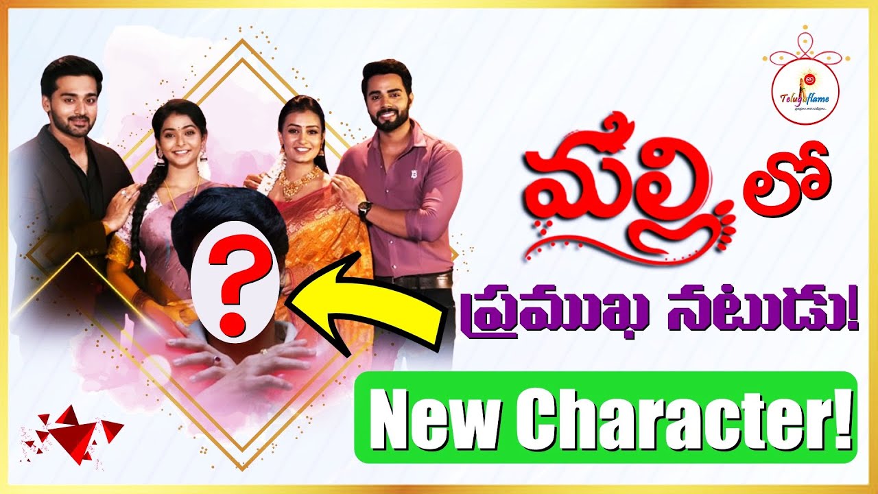 Malli Serial New Character Entry ! | Popular Actor Entry | Teluguflame ...