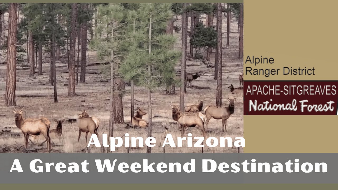 Alpine, Arizona Weekend in the Forest #arizona #travel #adventure - YouTube
