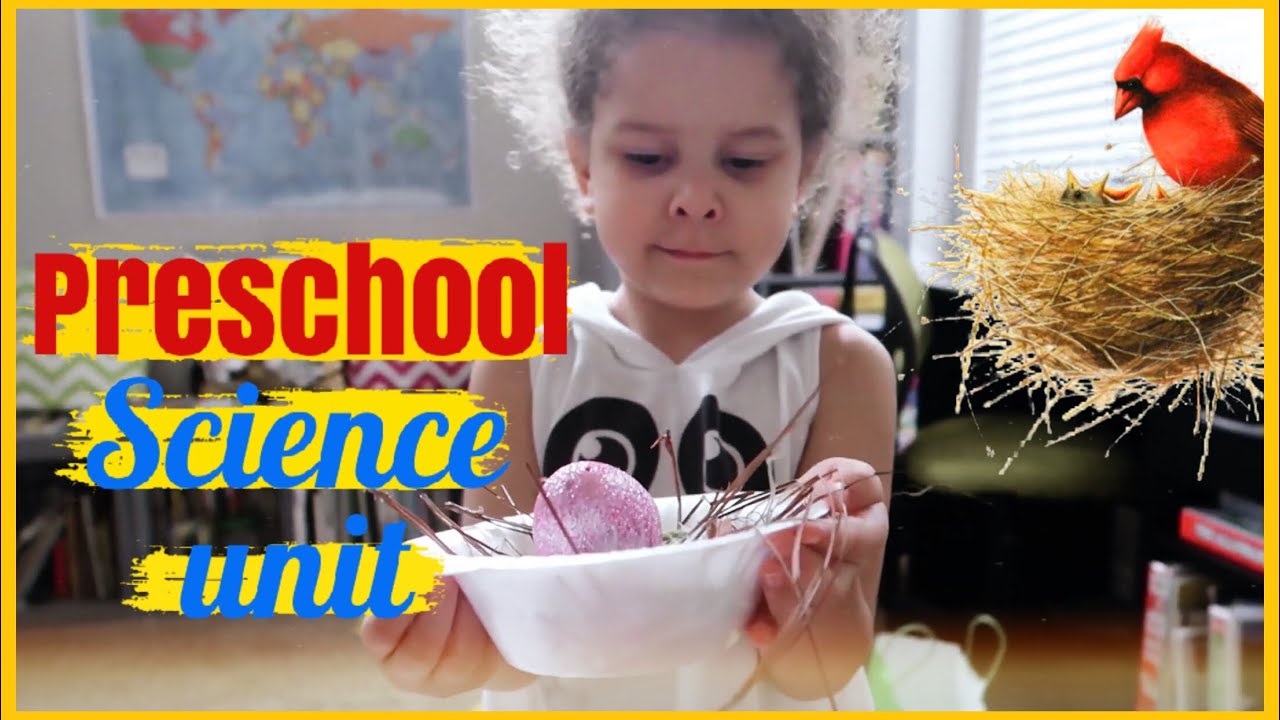 HOW TO HOMESCHOOL PRESCHOOL SCIENCE || Preschool birds theme - YouTube