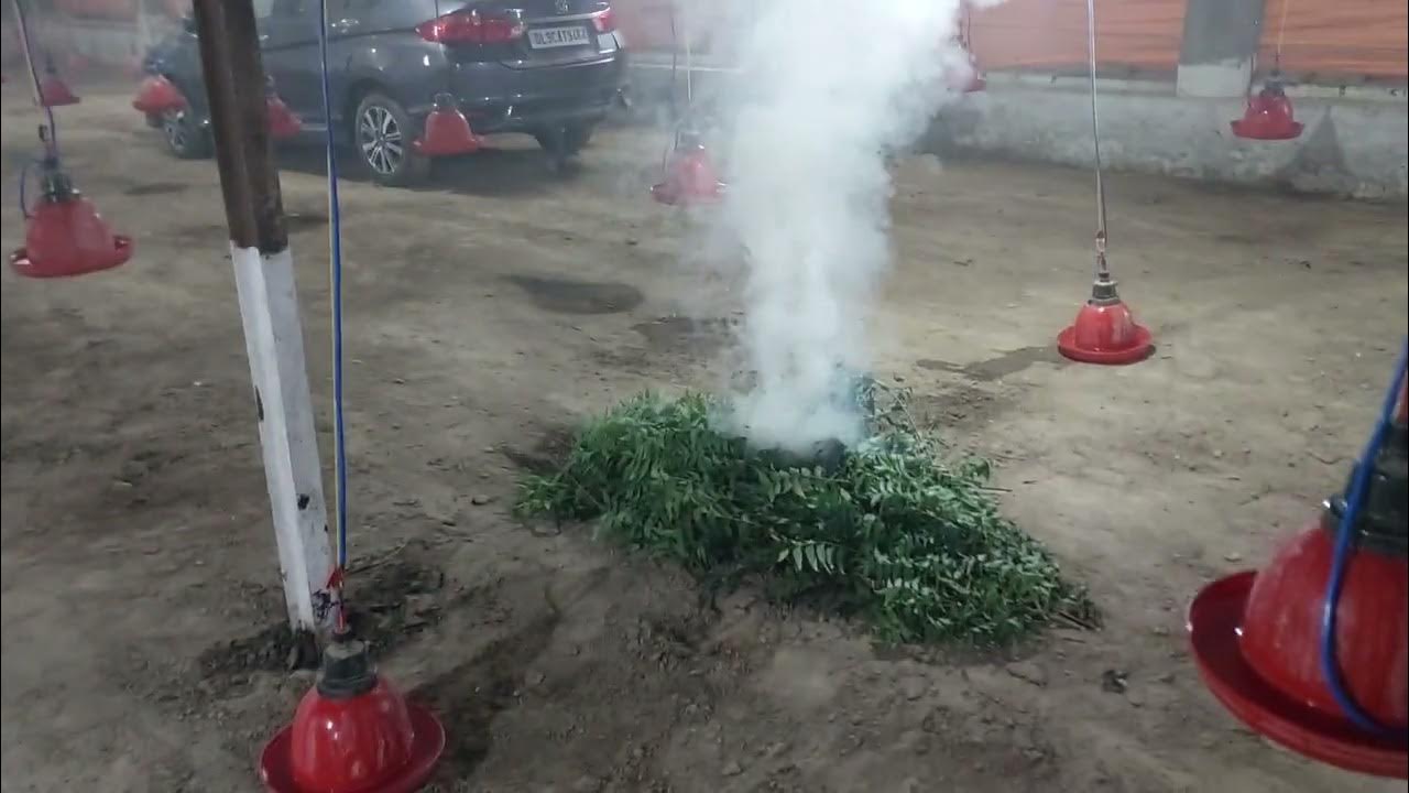 Sanitization Part 2 - YouTube