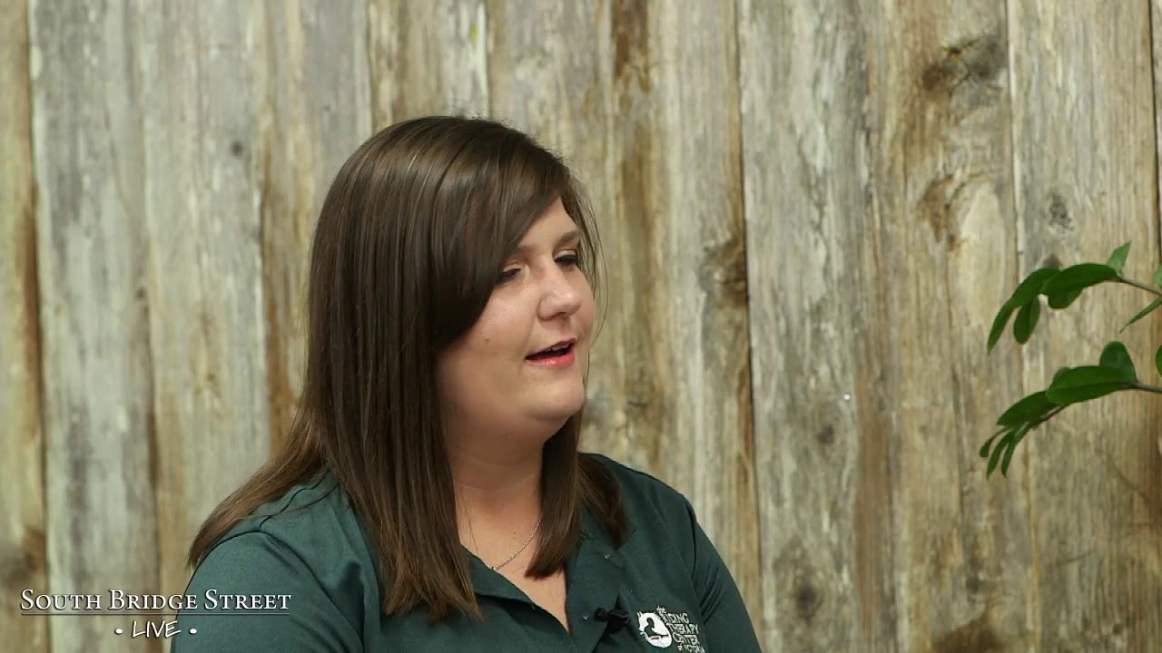 South Bridge Street Live with Michelle Olsovsky - YouTube