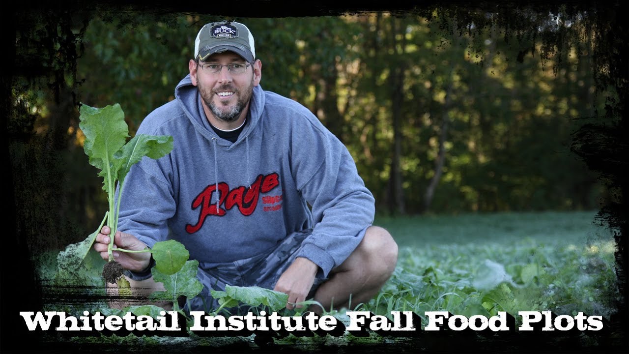 Whitetail Institute Fall Food Plots - YouTube