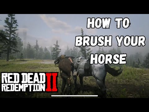 How to Brush Your Horse in Red Dead Redemption 2 | Clean Your Horse Rdr2
