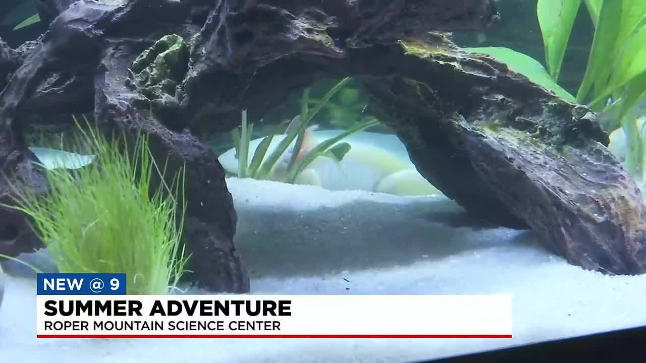 Summer adventure at Roper Mountain Science Center - YouTube