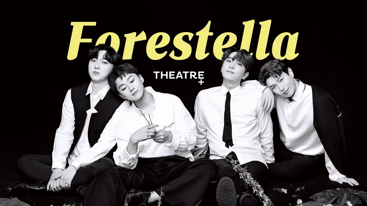 All About FORESTELLA #포레스텔라 매력모음ZIP - YouTube