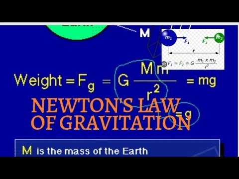 Newton law of gravitation/chapter 5/9th physics/2023/physics studio - YouTube