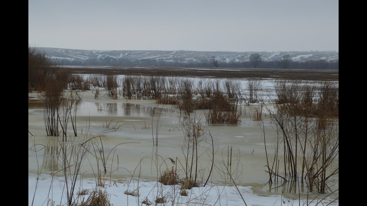 Hiking. Surroundings of the Don River and Lake Gromok. Окрестности реки ...