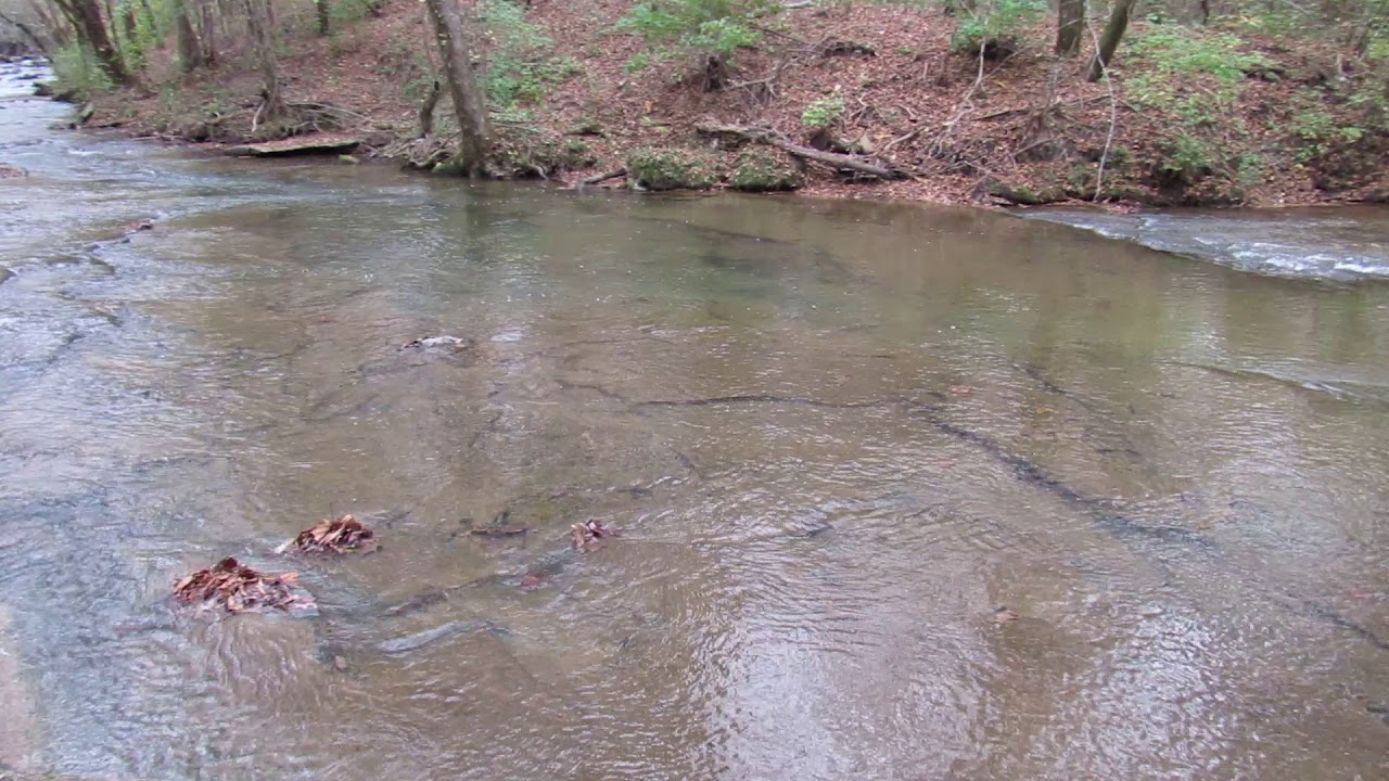 Blue Springs Creek - YouTube