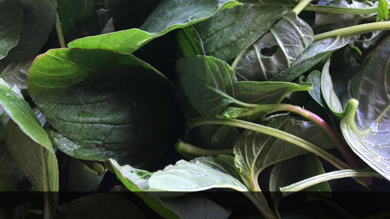 COCINANDO QUINTONILES - YouTube