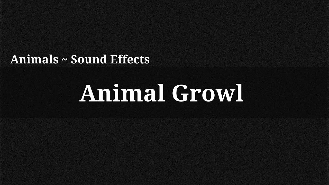 Animal Growl / Sound Effect - YouTube