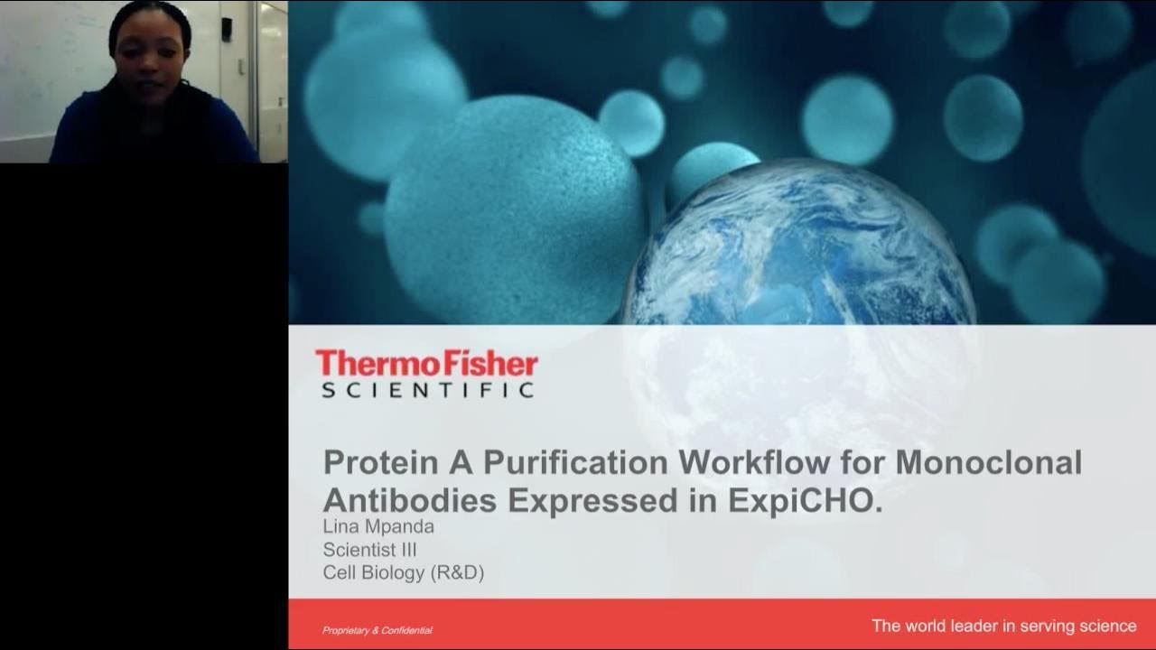 Gibco ExpressionWorld 2016: The ExpiCHO transient expression system ...