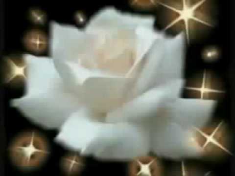 Ali benna - Benimde Bir Bacim Var idi