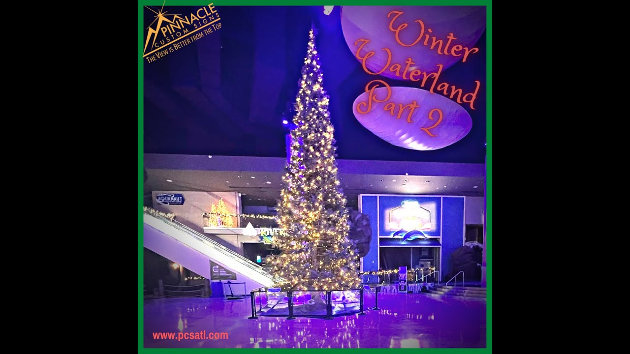 Winter Waterland - Georgia Aquarium - Live Tree - YouTube
