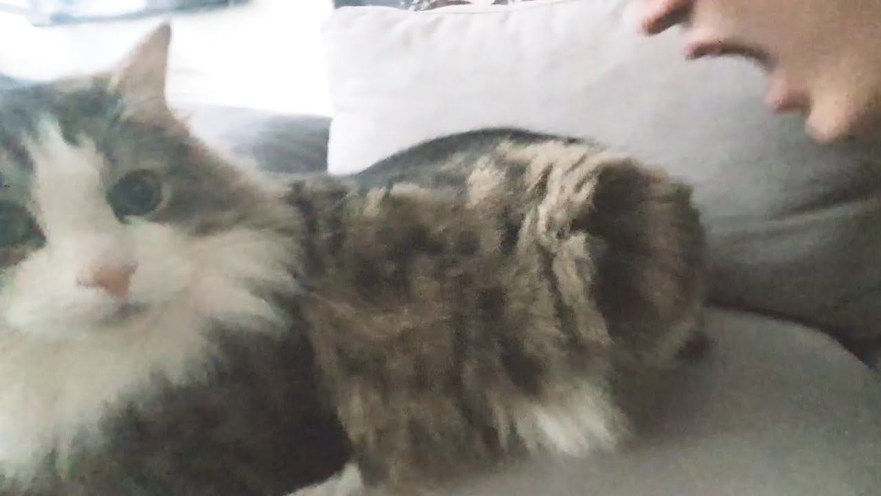 He Bit Me First. Now It's Mine - YouTube