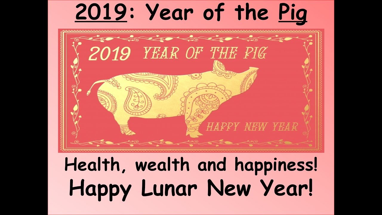 The Lunar New Year of the Pig 2019 (Useful Vocabulary by Teacher Ham ...
