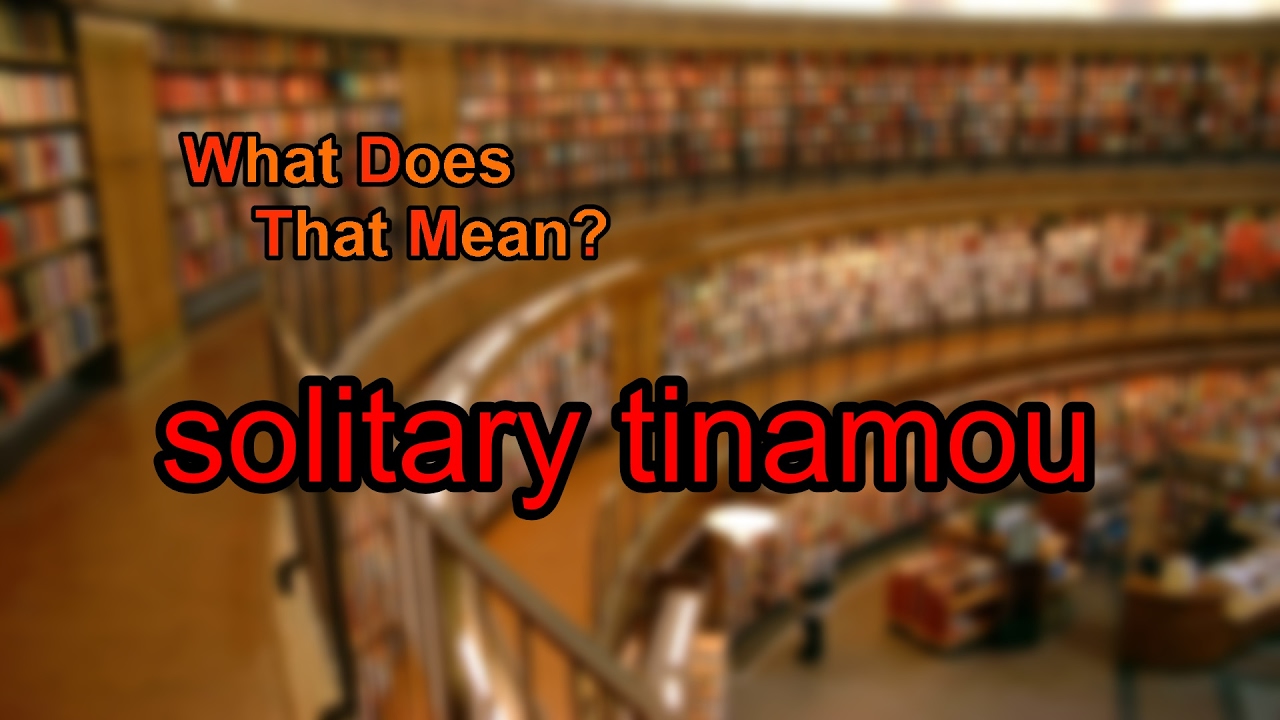 What Does Solitary Tinamou Mean YouTube what-does-solitary-tinamou-mean-youtube