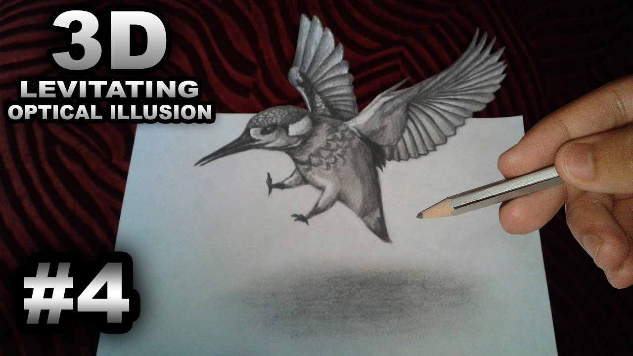 Trick Art - 3D Flying Bird - Levitating Anamorphic Optical Illusion ...