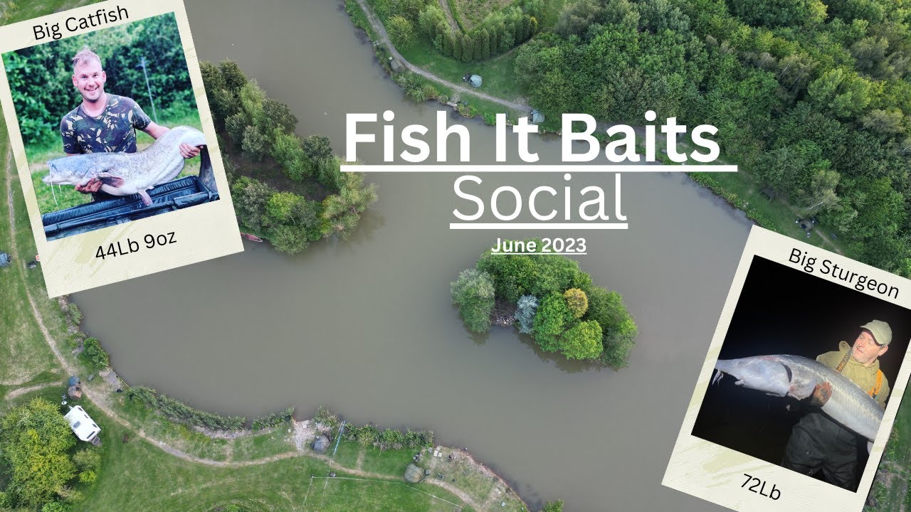 Carp Fishing, Sturgeon Fishing, June Fish It Baits social 2023 - YouTube
