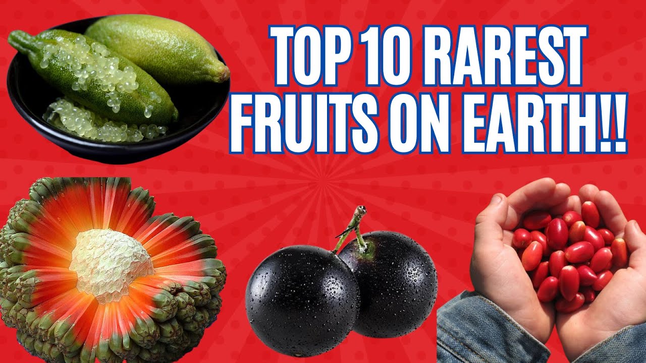 Top 10 Rarest, Most Exotic Fruits You've Never Heard Of | Factoidz ...
