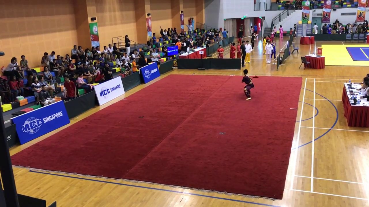 20170826 Nationals@PasirRis Shaun - Shao Lin Dao - YouTube