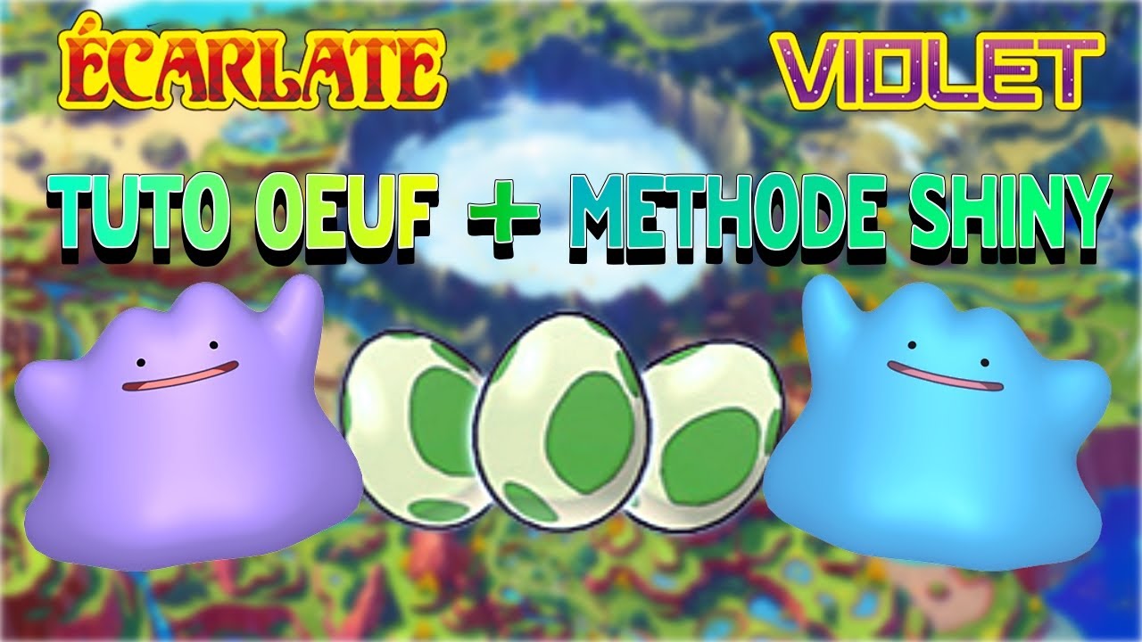 Comment faire des Oeufs ? + Méthode SHINY ! / Pokemon Violet et ...