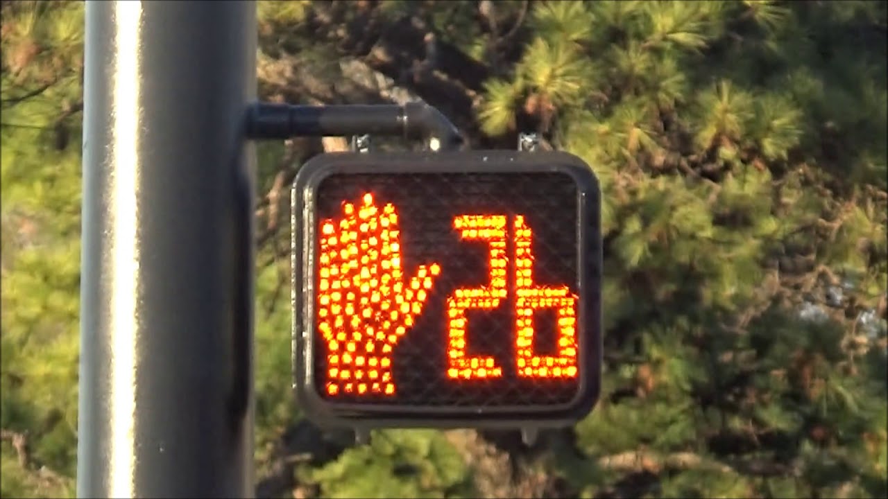 ICC Pedestrian Signal - YouTube