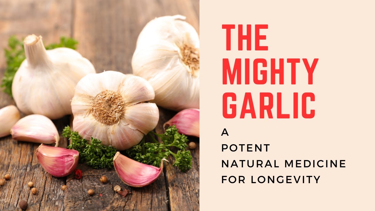 The Mighty Garlic | Unveiling its Health Benefits and Potential as a ...