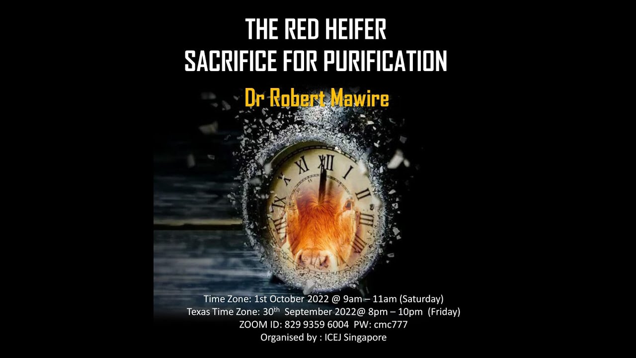 Dr Robert Mawire The Red Heifer & Sacrifice for Purification - YouTube
