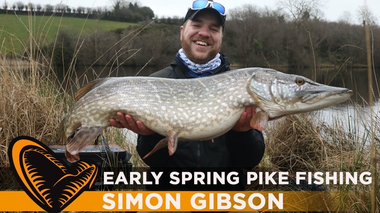 Early Spring Pike Fishing, Goby Shads on the Shallows - Simon Gibson ...