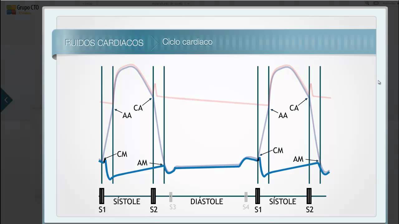 RUIDOS CARDIACOS - YouTube