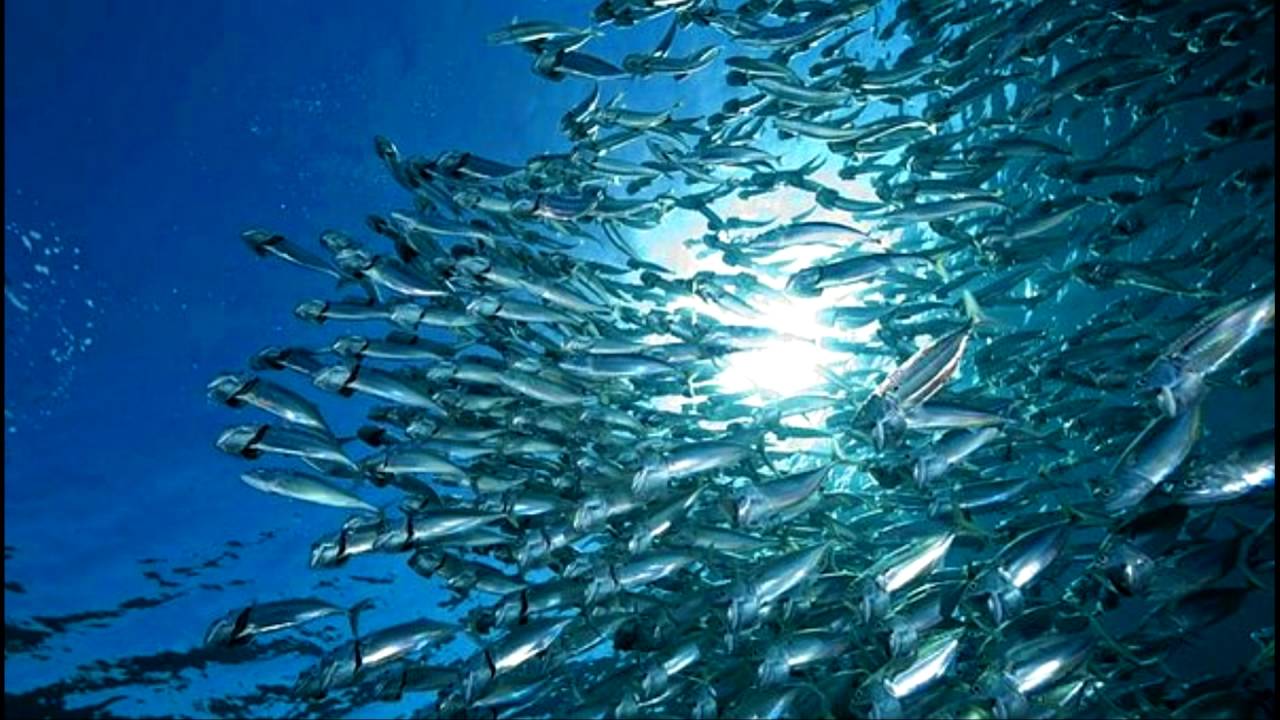 "Alright @YaNative,@wto,@UNDP,@PA,@WHO, let @UNOG_DG + @UN_PGA teach ...