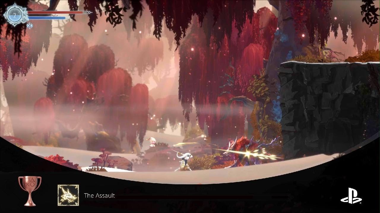 The Assault Afterimage - YouTube