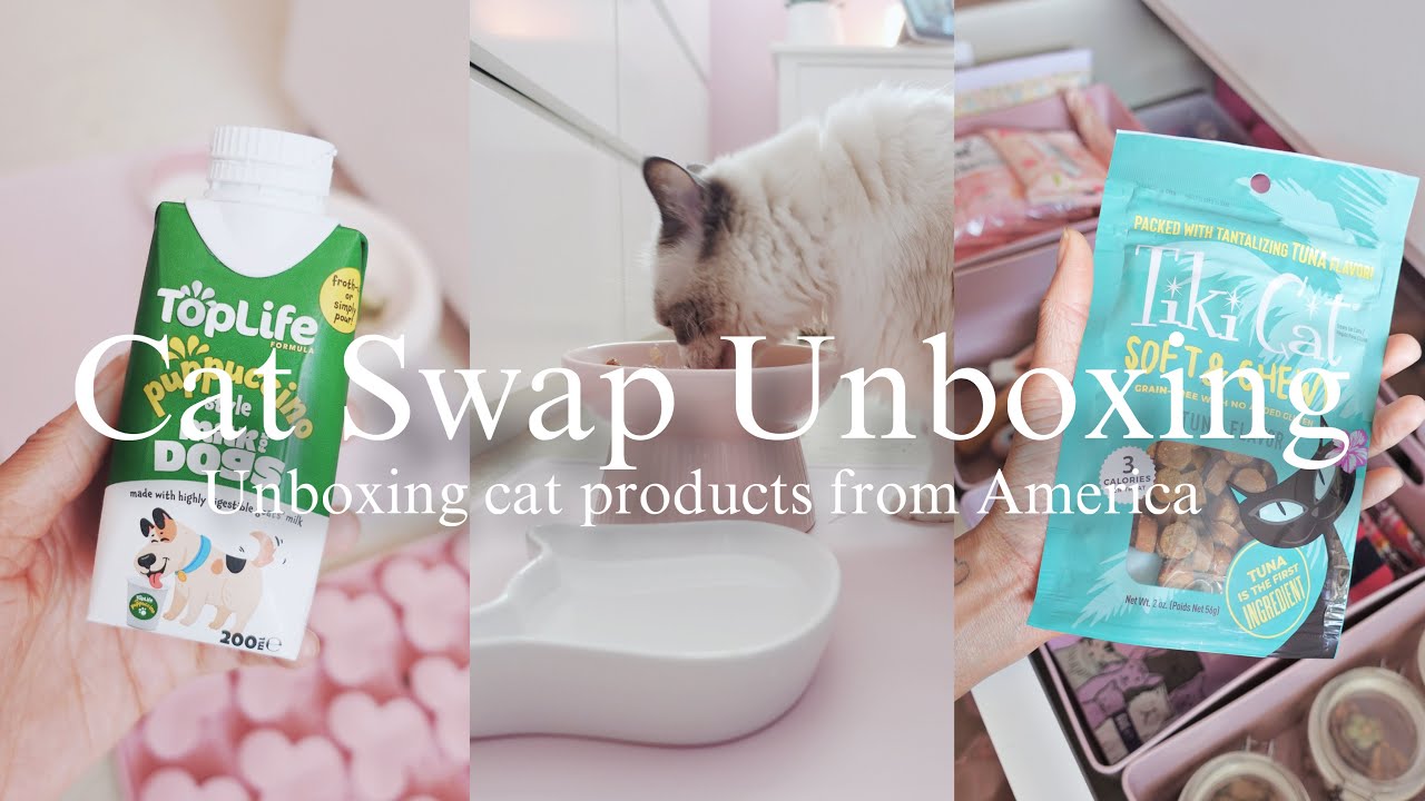 Unboxing American cat food & treats 🐈🌸🌿 - YouTube