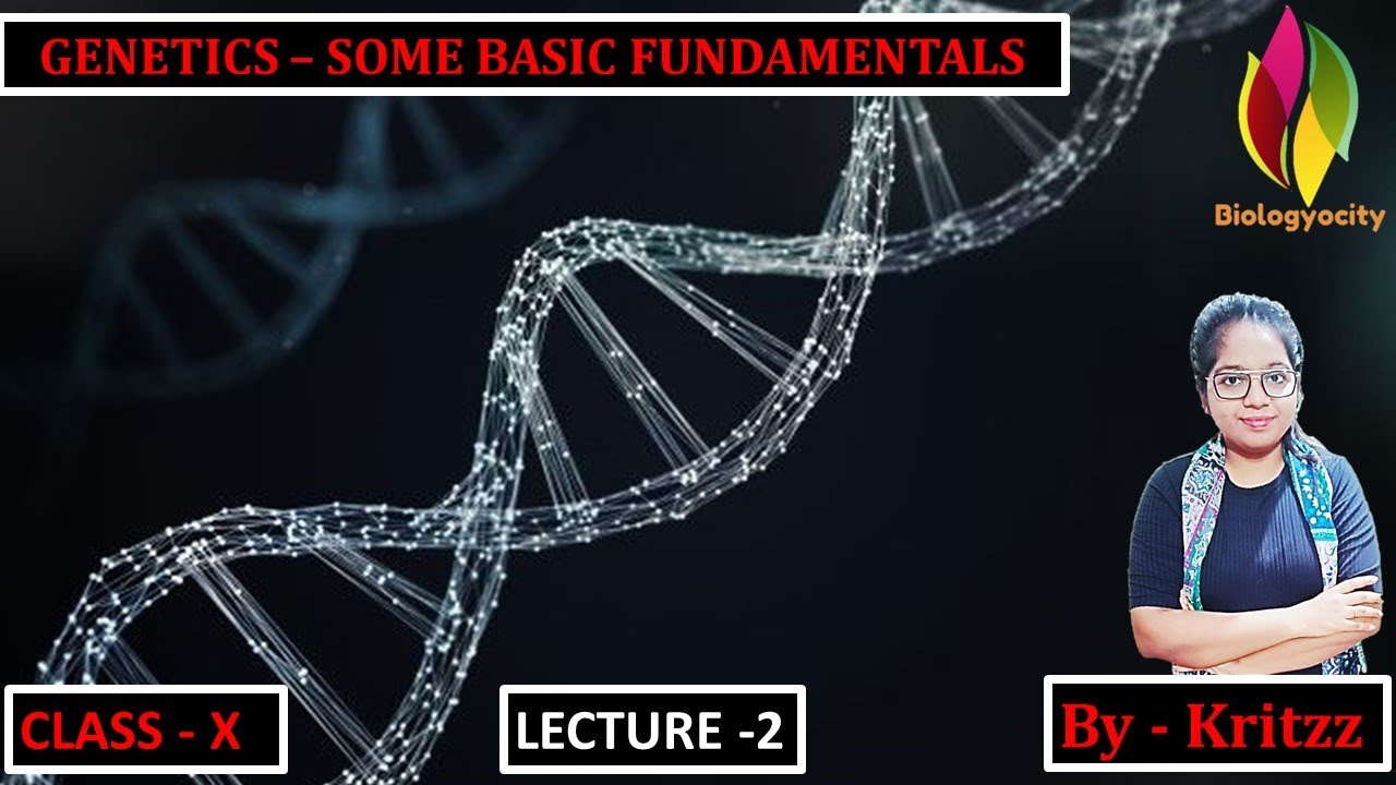 GENETICS SOME BASIC FUNDAMENTALS PART 2 - YouTube