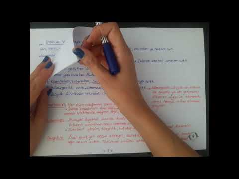 19  YÜZYILDA AVRUPA & DÜNYA