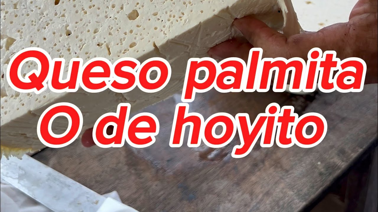 Queso palmita o de hoyito - YouTube