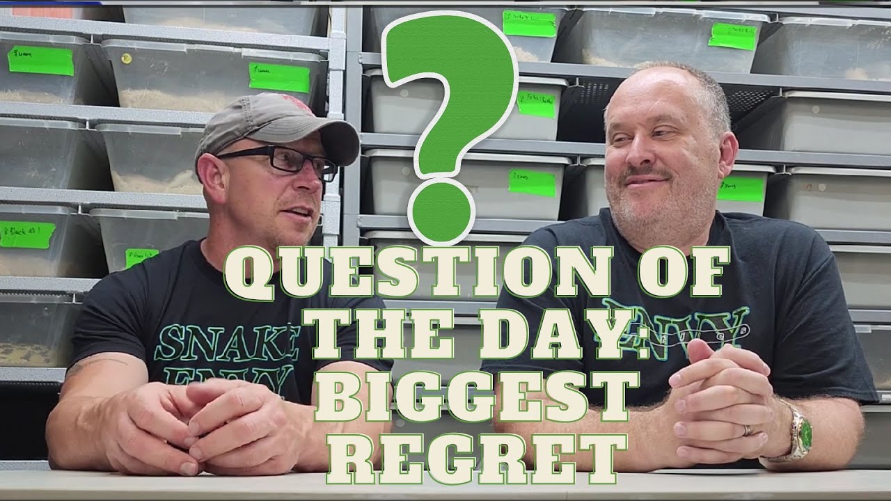 What is your biggest regret in the hobby? #snake #reptiles #animals # ...