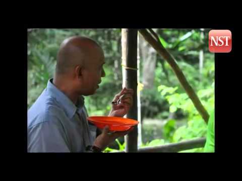 A video tribute by Captain Zaharie Ahmad Shah's niece