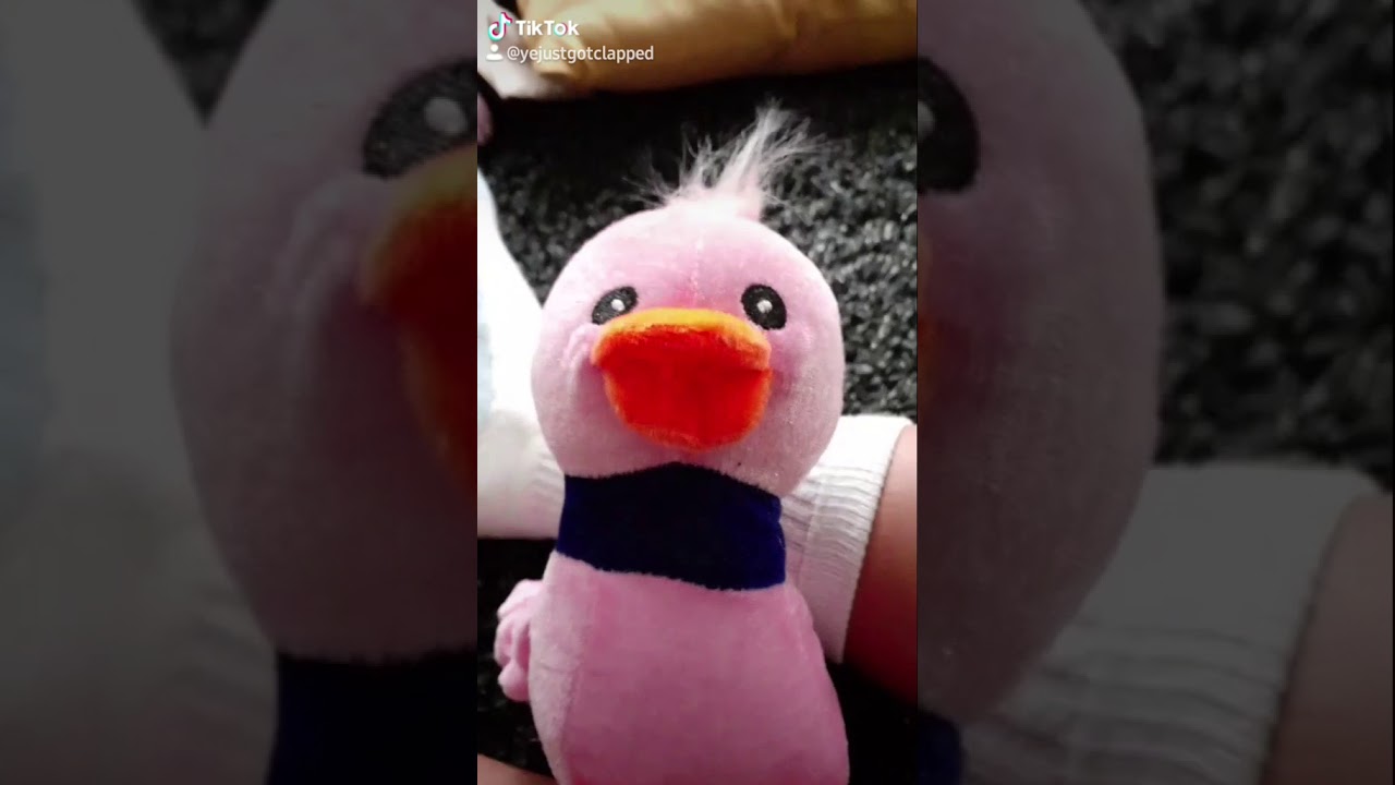 Ducks - YouTube