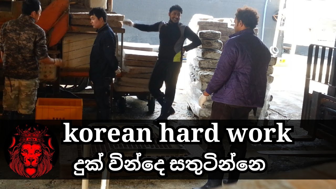 Korean hard work ( කොරියානු රැකියා .. දුක් වින්දෙ සතුටින්නෙ ) - YouTube