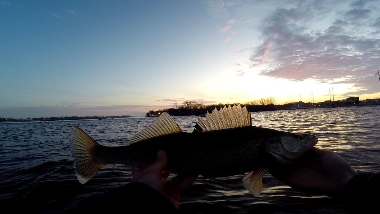 Fox River Walleye Fishing - Green Bay - Spring Run - YouTube