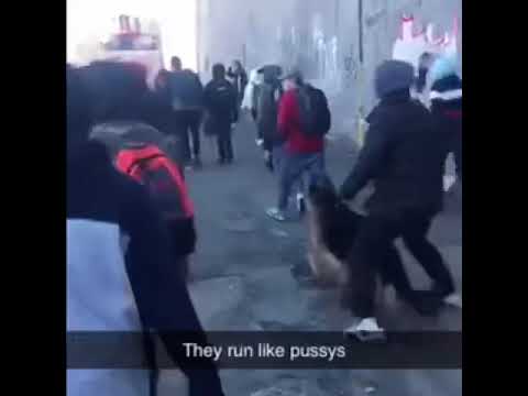 فزعه يمنيه في الوليات المتحدة Yemeni people fight with patria gang ...