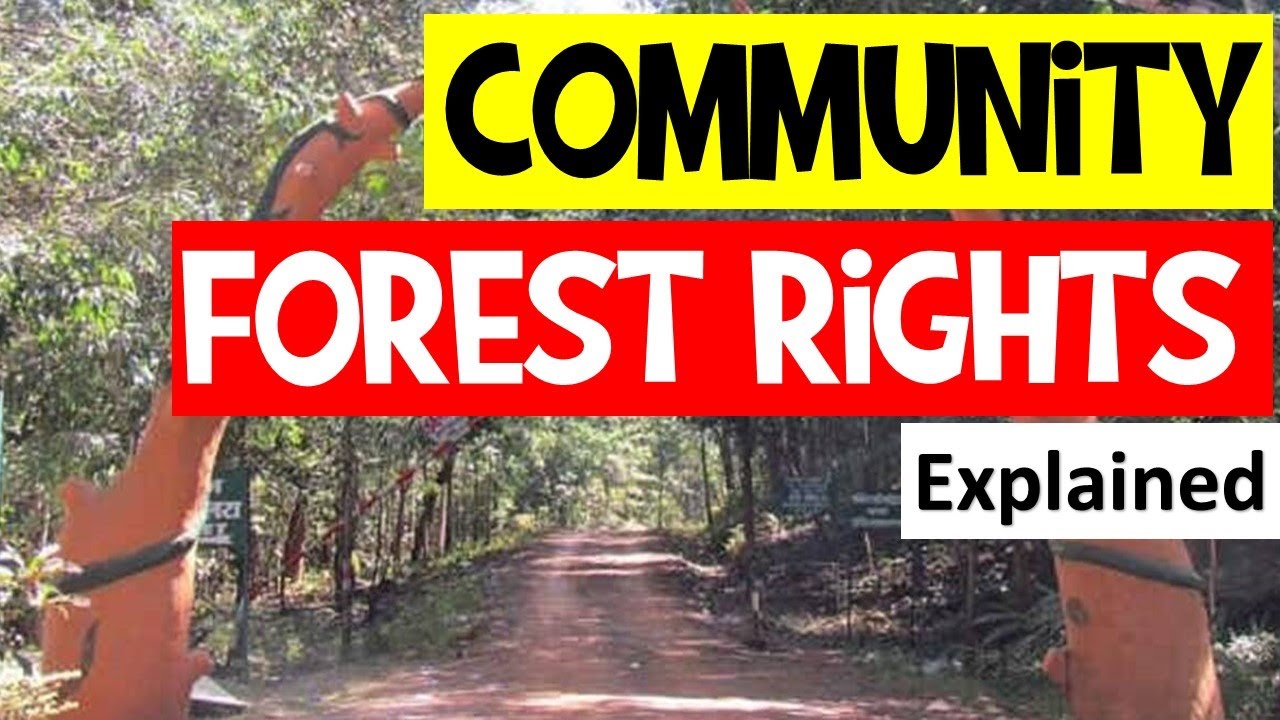 What are community forest rights? | Chhattisgarh government | Explained ...