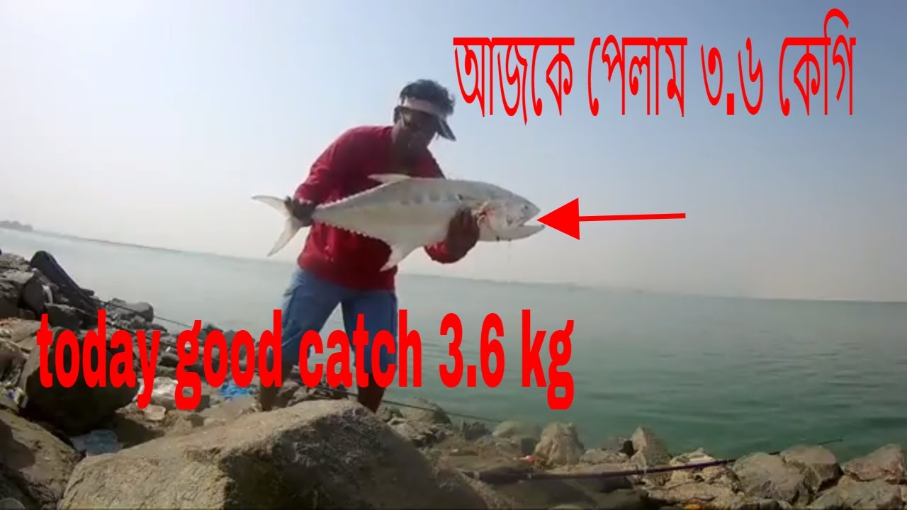 summer time fishing tips 3.6 kg queen snapper - YouTube