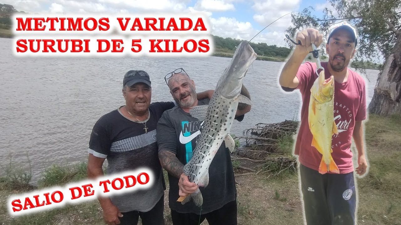 Buena Variada, Surubi, Dorado y muchas Bogas. PESCA EN BARADERO - YouTube