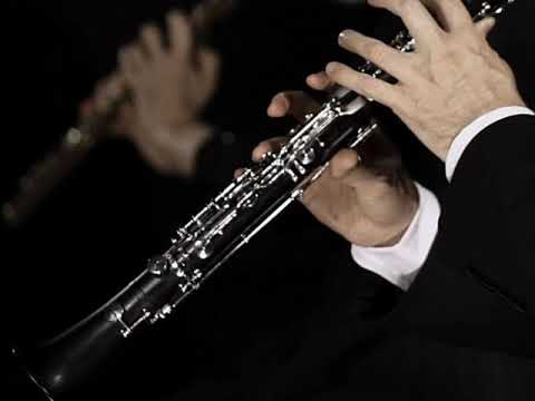 Feridun Düzağaç Alev alev klarnet cover