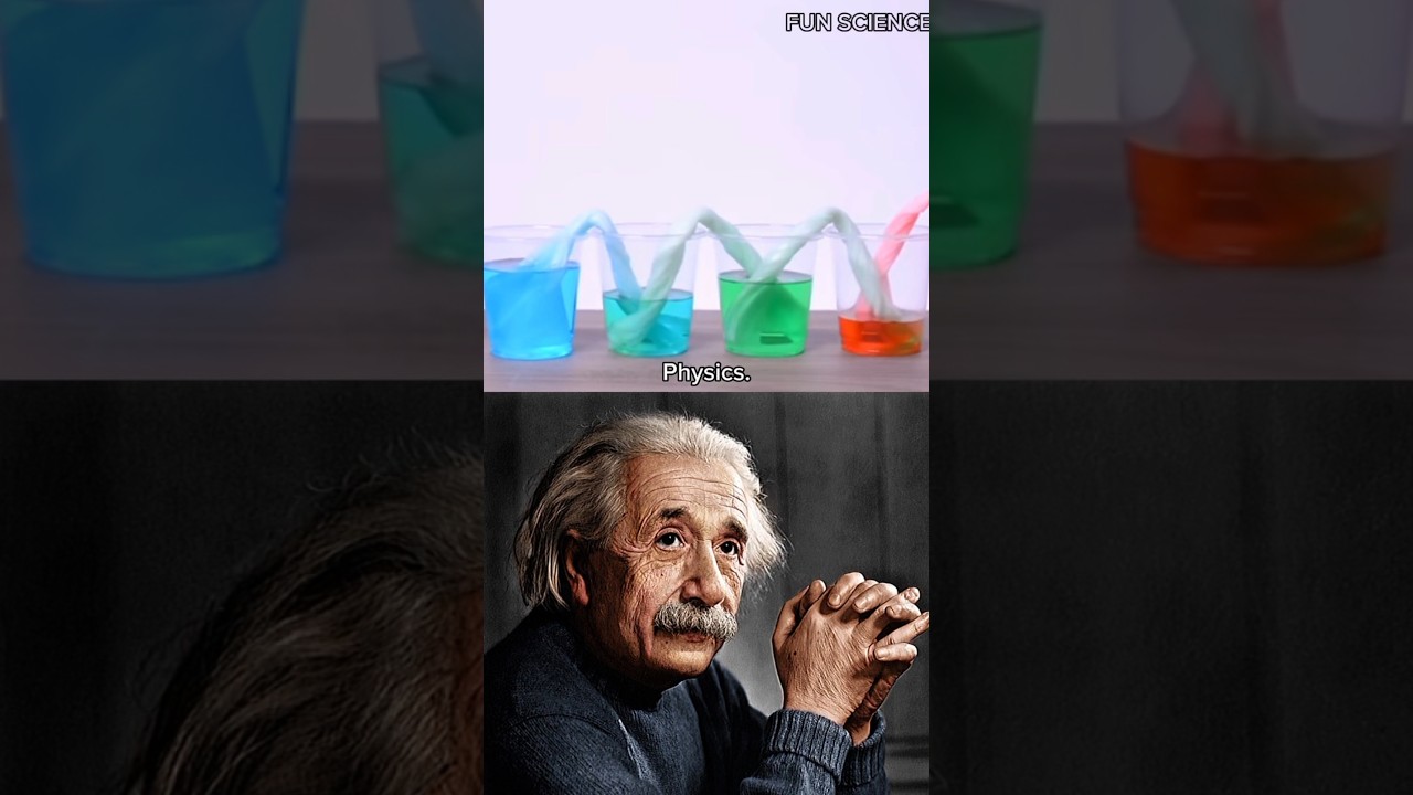 Sigma Albert Einstein🗿#physics #study #science #chemistry #maths #animation credits to Fun ...